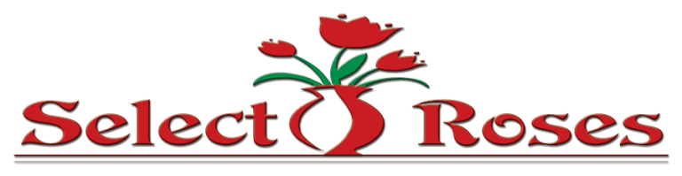 Select Roses Inc | Wholesale Flowers in Bronx, N.Y.